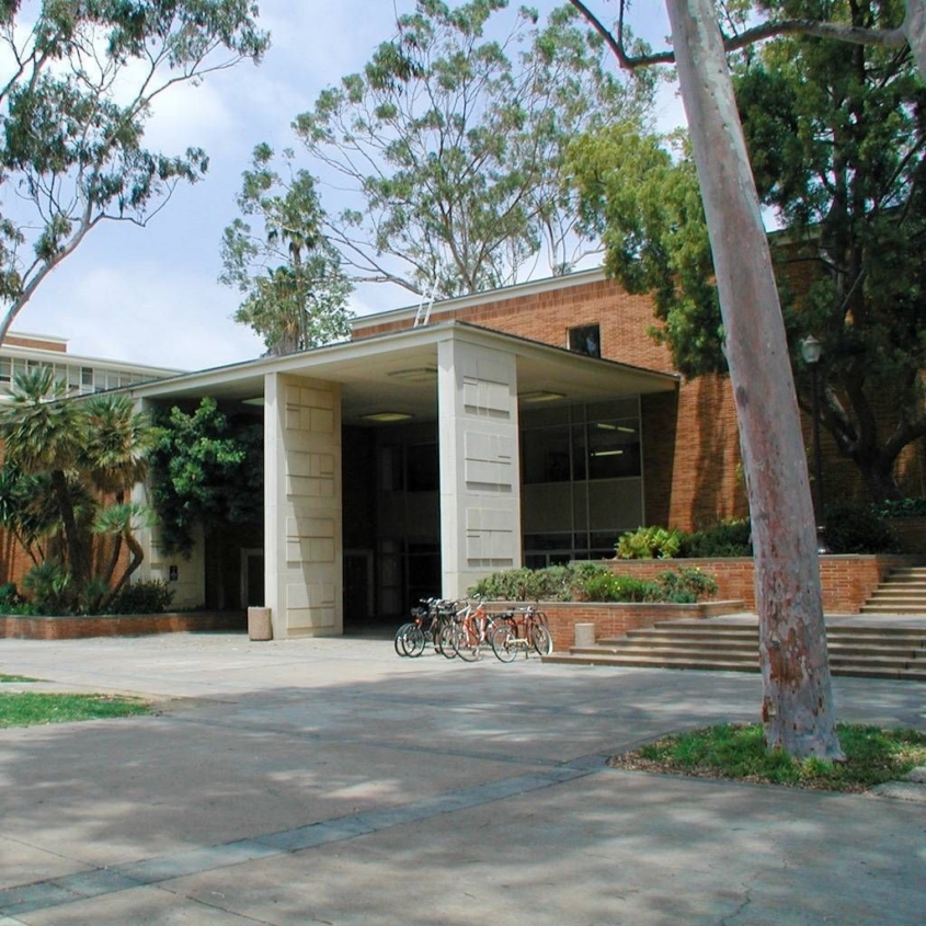 Contact Us - Gender Studies